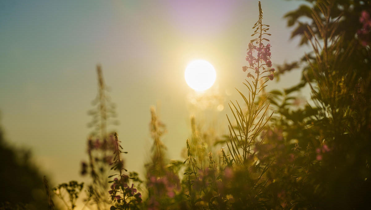 2021 zu warm, zu viel Sonne - Deutscher Wetterdienst