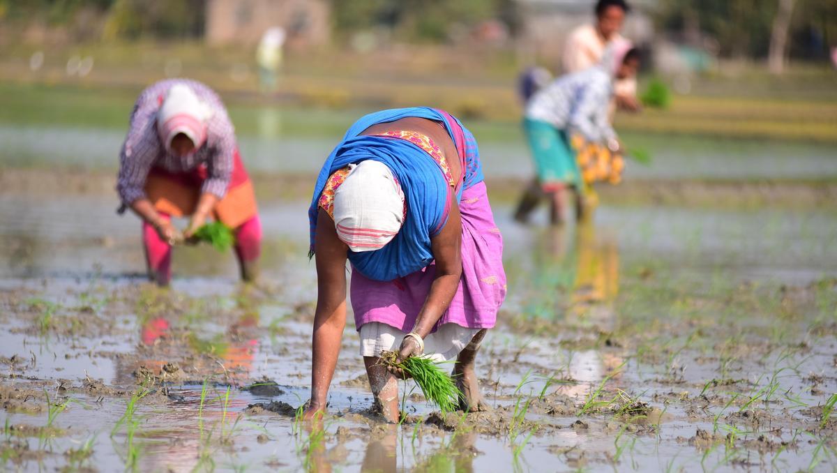 Indien: Russland-Handel steigt wegen Sanktionen des Westens